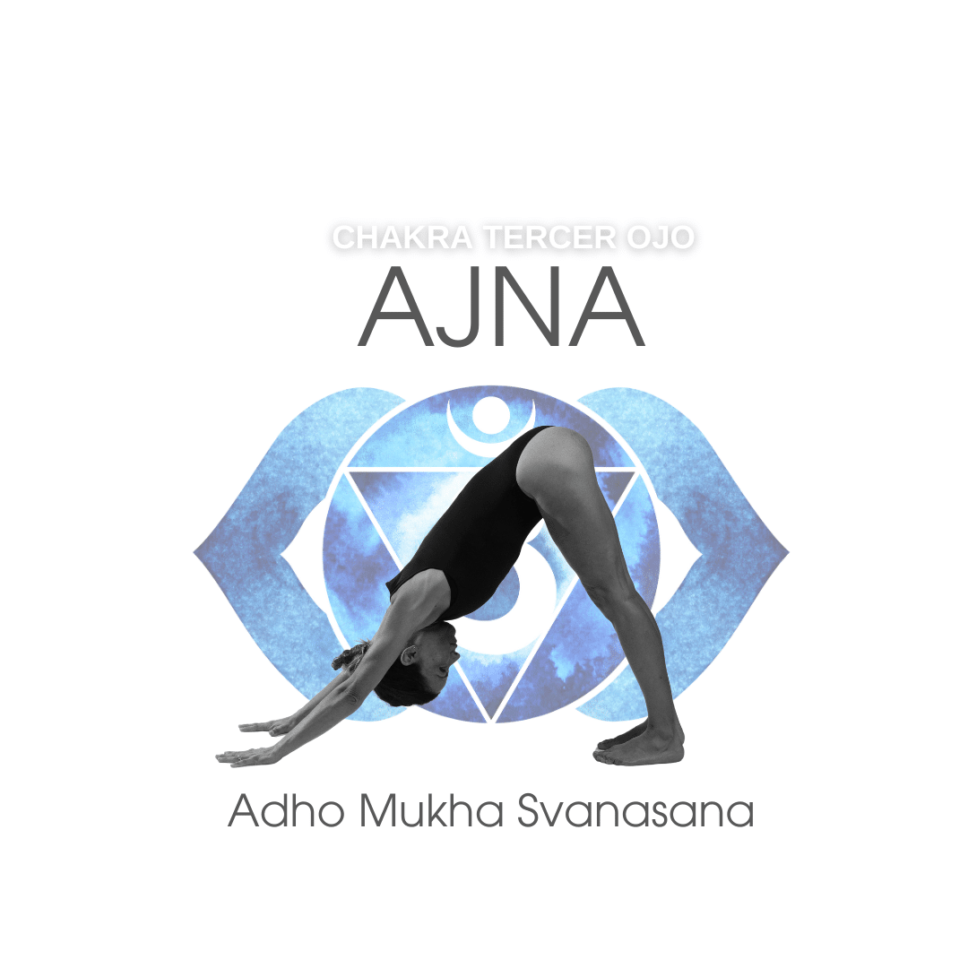 Equilibra tus chakras con estas asanas de yoga : VIDHAYOGA